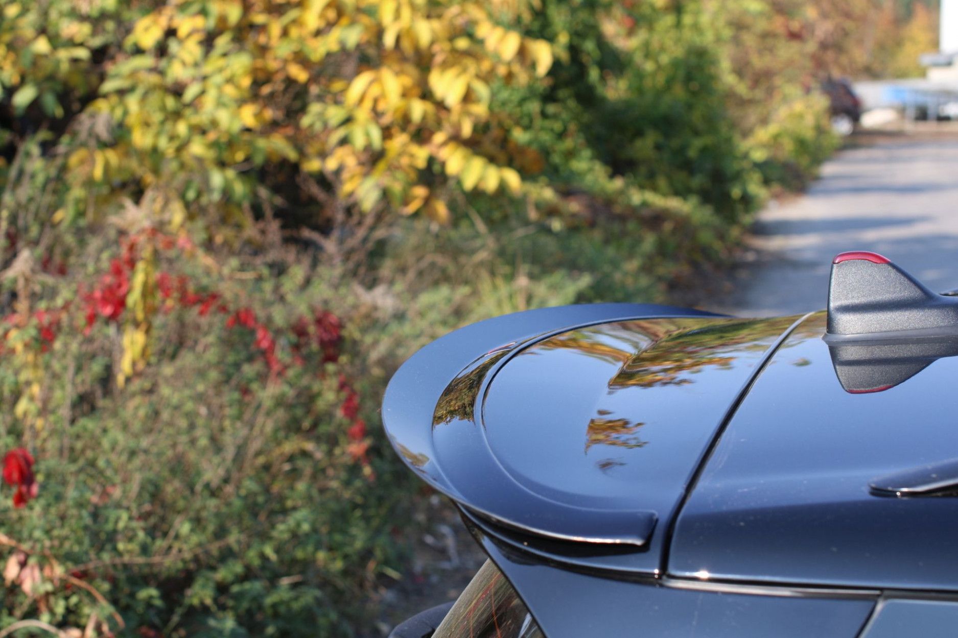 Maxton Design Spoiler für Mini Clubman F54 JCW|S Carbon Look - online ...